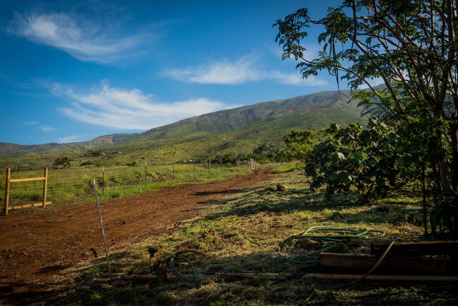 Design Your Dream House on an Ocean-View Farm in Makila Plantations ...