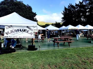 Prime Six-Acre Parcel Available in Waimea - Hawaii Real Estate Market ...