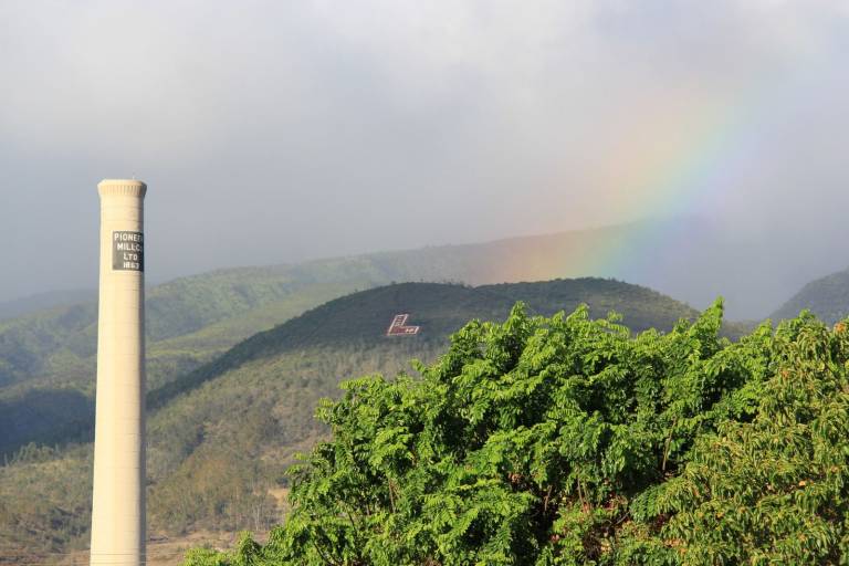 Why the Loss of Lahaina Matters So Much - Hawaii Real Estate Market ...