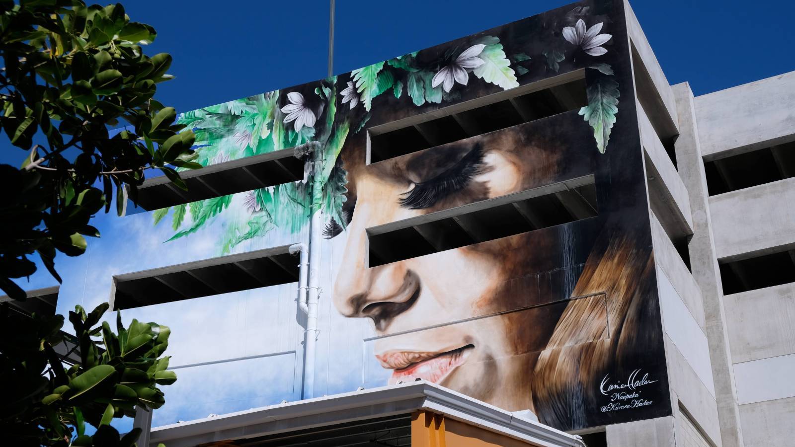 Unique Destinations at SALT – A Hub in Honolulu’s Hip Kakaako ...