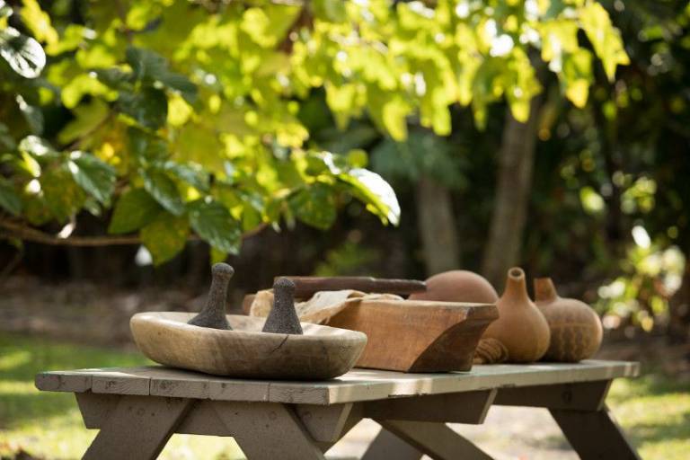 Amy B.H. Greenwell Ethnobotanical Garden Listed For Sale with Hawaii ...