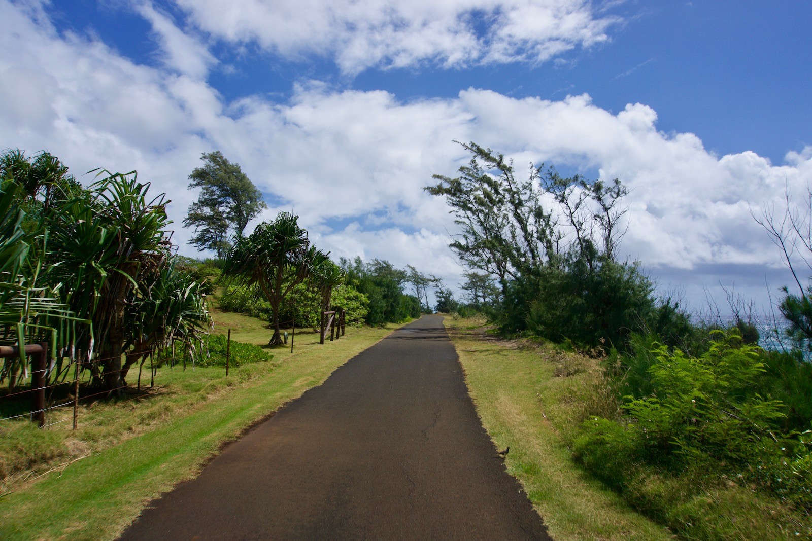 Explore the East Side on the Kapaa Bike Path - Hawaii Real Estate ...