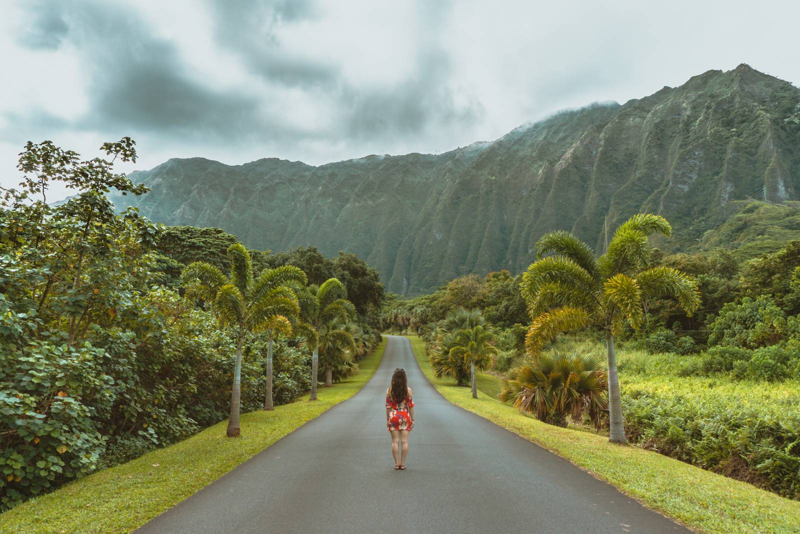 The Hawaiian Language Pronunciation Tips Words To Know Hawaii The Hawaiian Language Pronunciation Tips Words To Know Hawaii