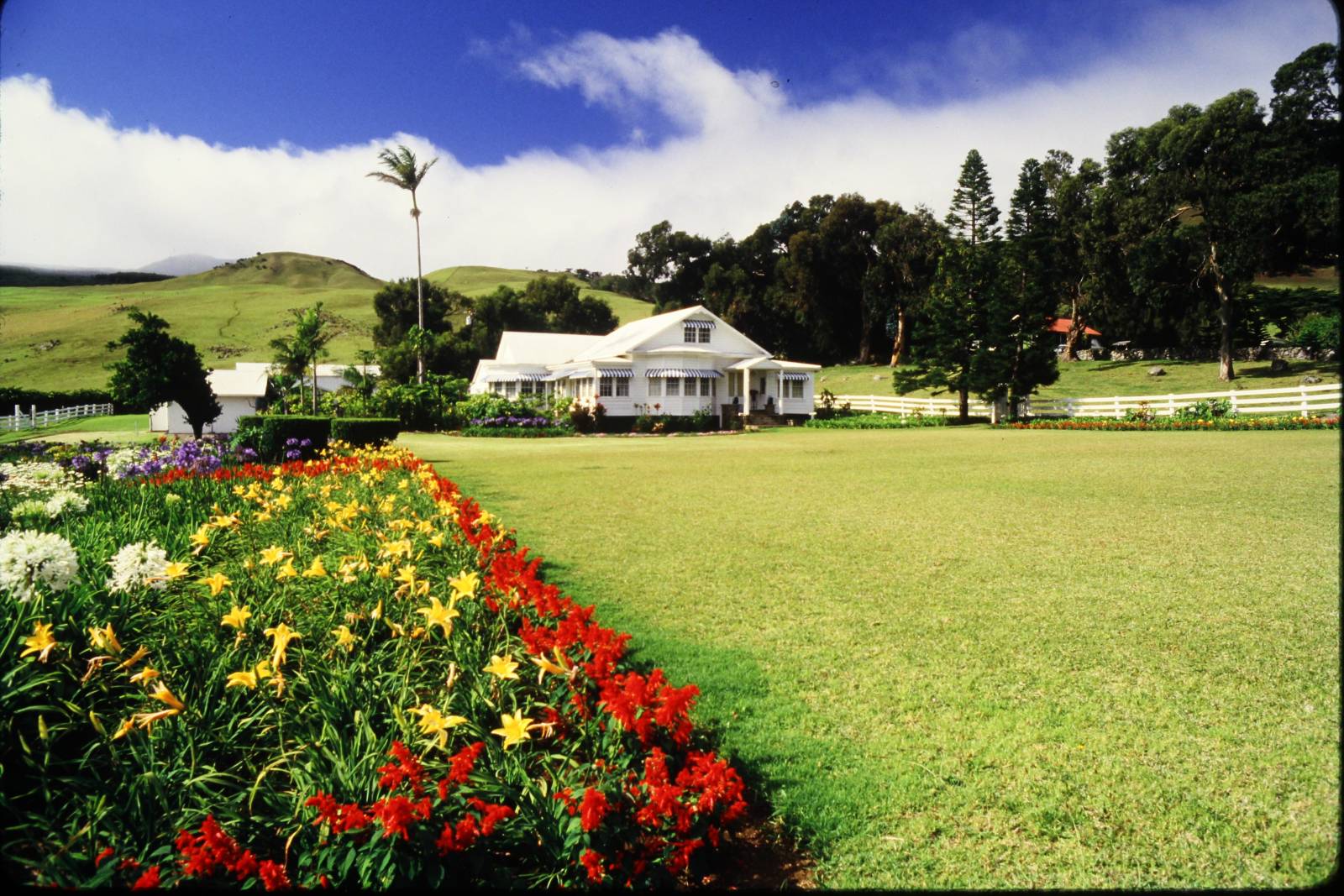 Anna Ranch – A Special Landmark in Waimea - Hawaii Real Estate Market ...