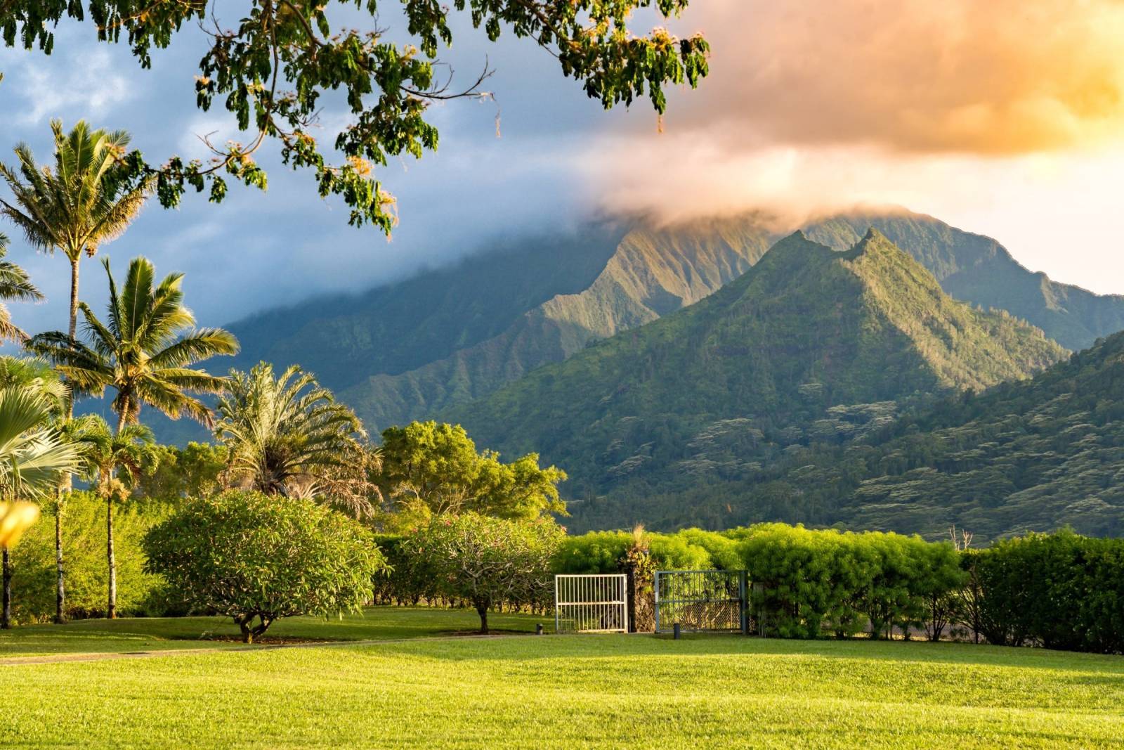 Views, Views, Views in Hanelei - Hawaii Real Estate Market & Trends ...