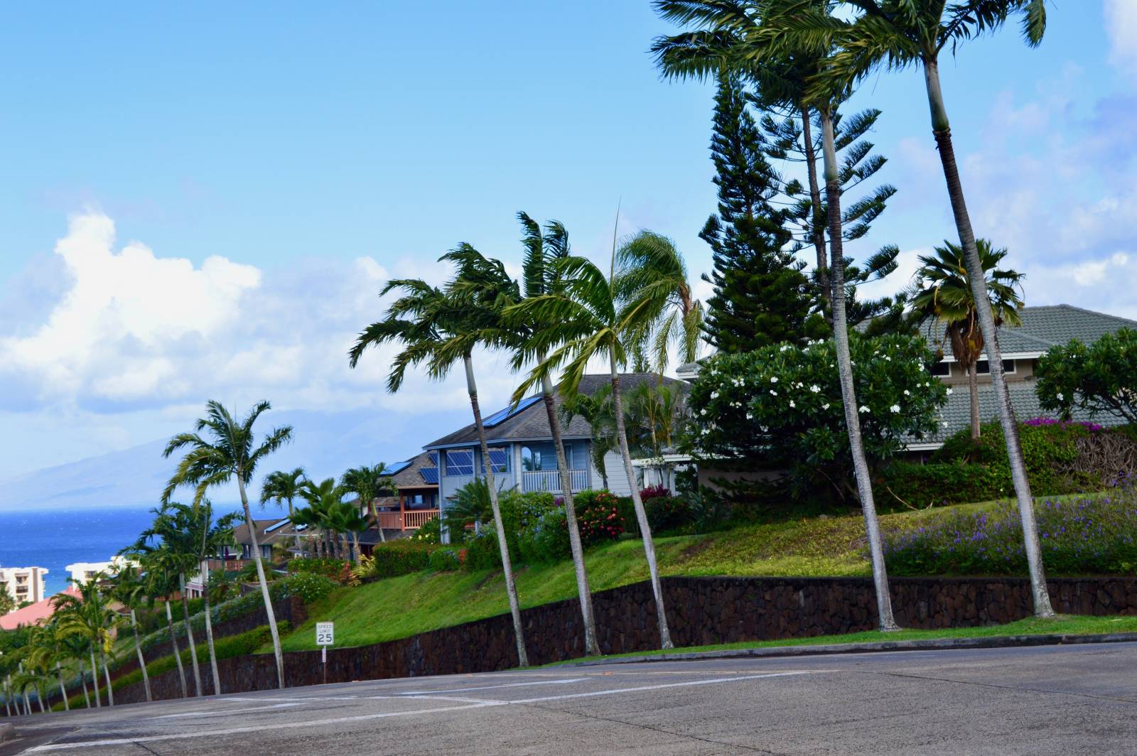 Kahana Ridge | Most in Demand West Maui Neighborhood for $1M - Hawaii ...