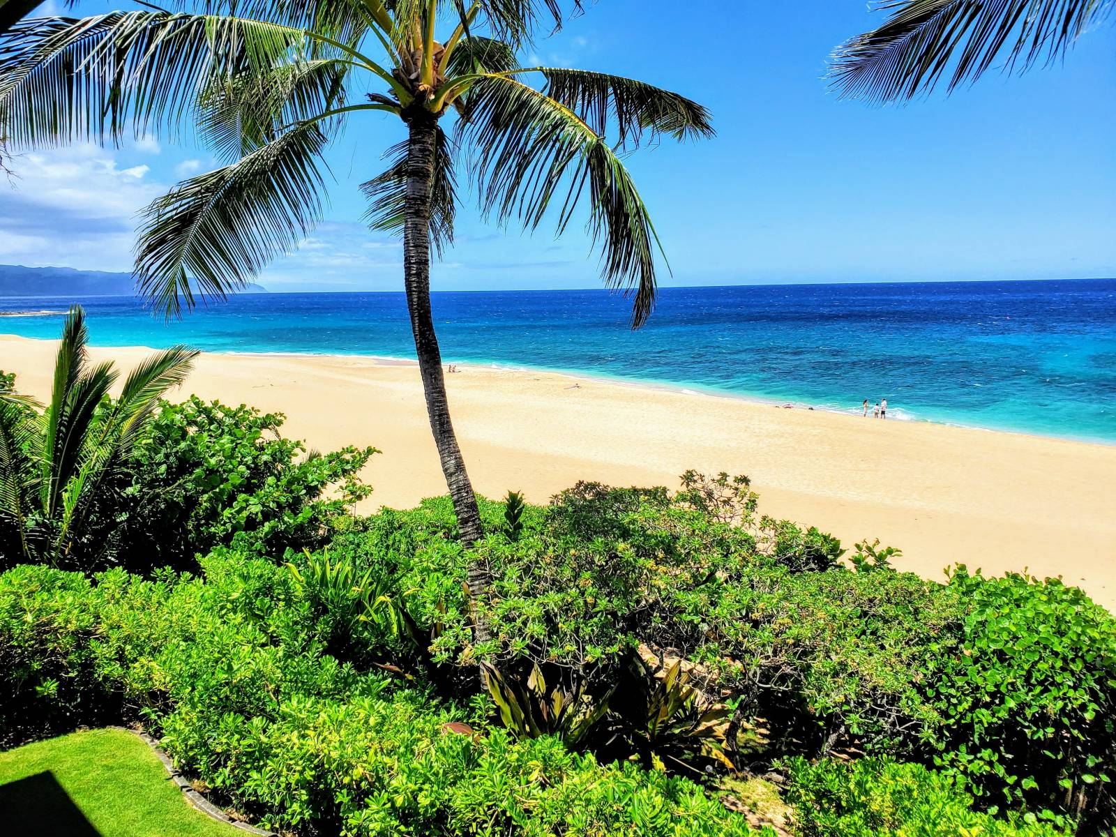 Education, Responsiveness and Communication | Oahu, Hawaii - Homes by Fawn