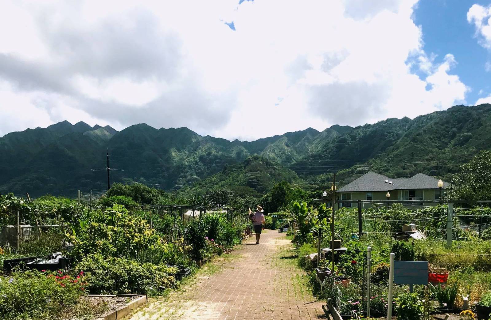 What Does Malama Mean? - Hawaii Real Estate Market & Trends | Hawaii Life