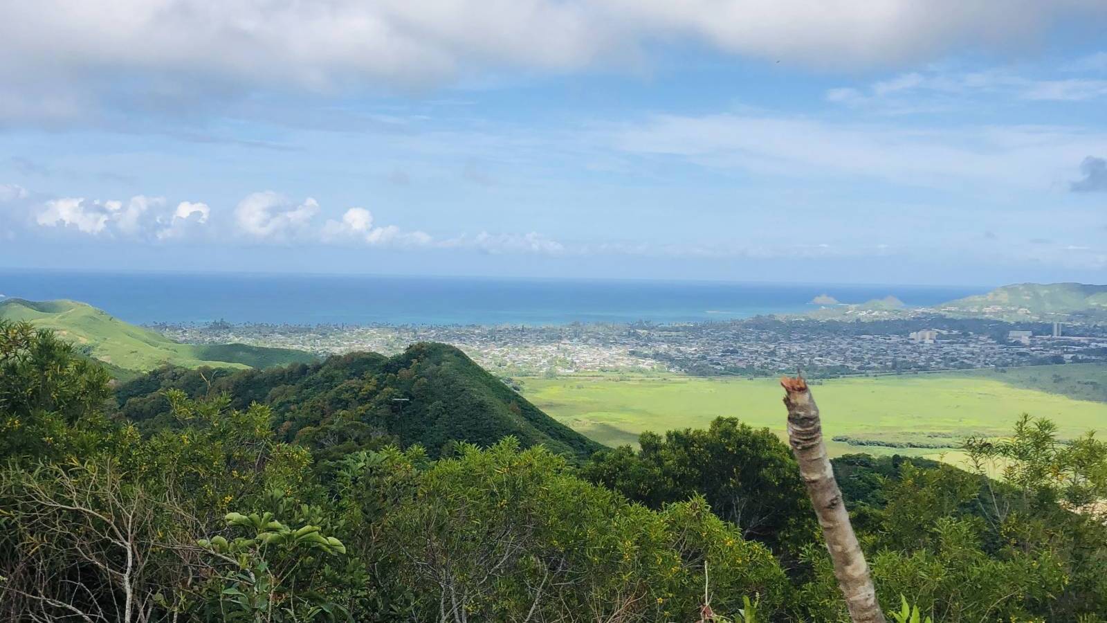 Getting Out on Oahu: What Oahu Parks and Oahu Hiking Trails are Open ...