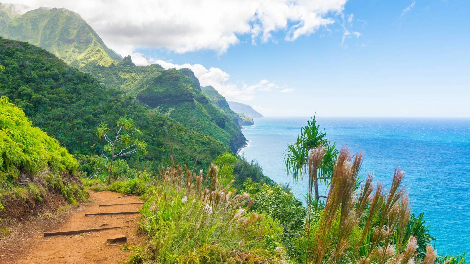 Kauai Hiking Trails | What's Open and Closed? - Hawaii Real Estate ...