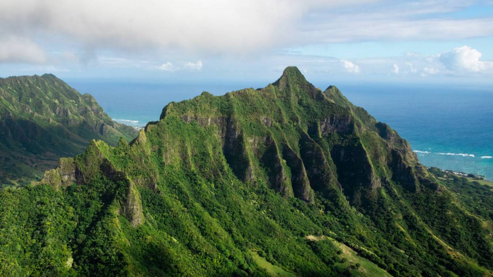 Native Hawaiian Financial Assistance | COVID-19 - Hawaii Real Estate ...