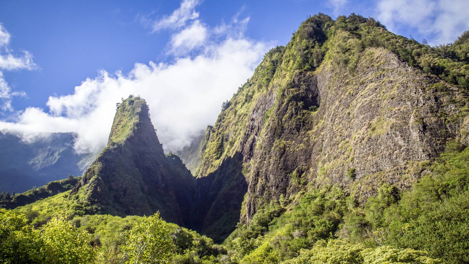 Now’s the Time for a Maui Vacation: Tips for Visiting Central Maui ...