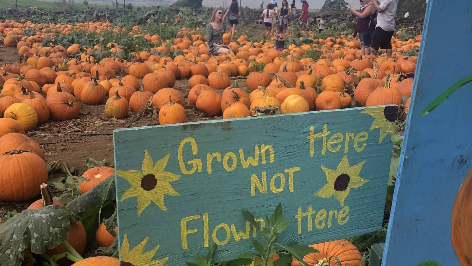 Fall in Maui - Hawaii Real Estate Market & Trends | Hawaii Life