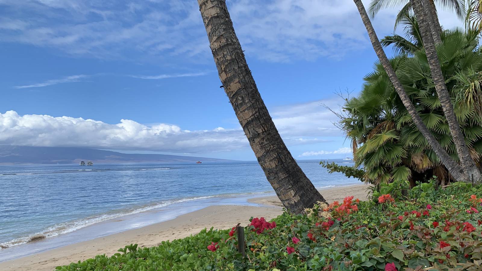 Lahaina Shores Beach Resort 121 - Hawaii Real Estate Market & Trends ...