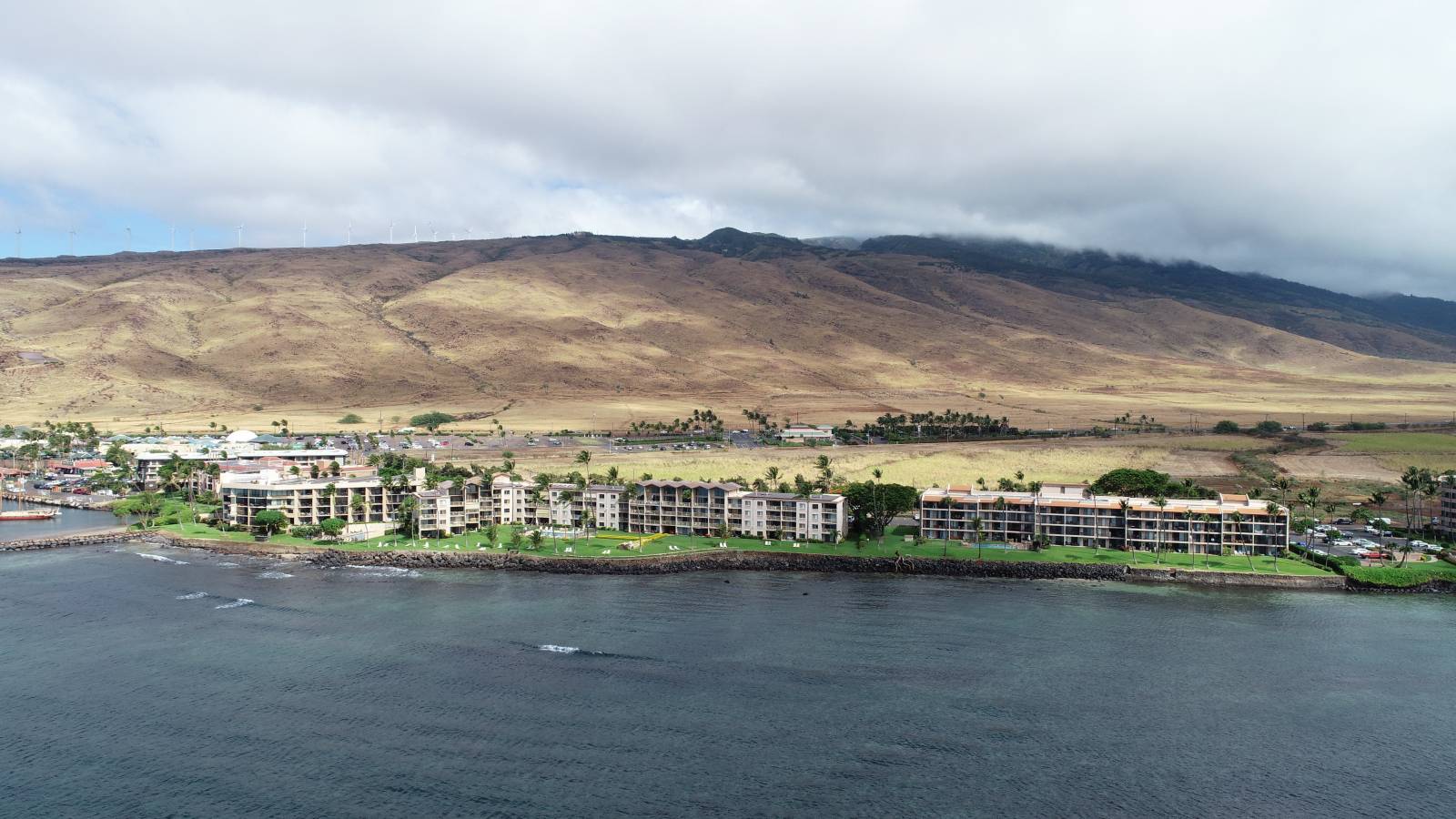 Five Things You Didn’t Know About Maalaea - Hawaii Real Estate Market ...