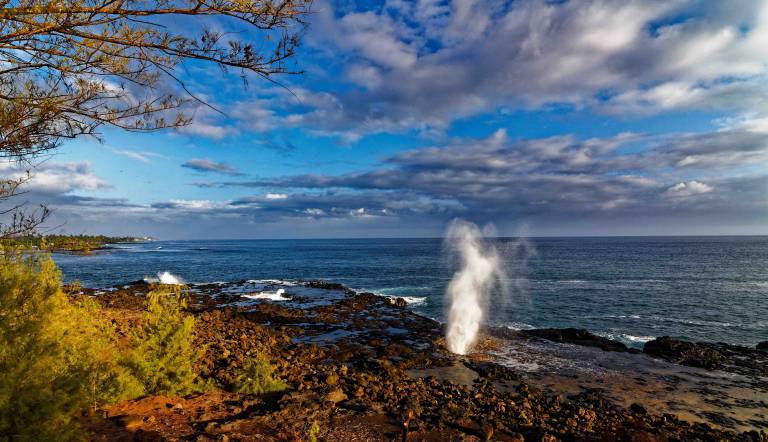 The Oceanfront Allure of Kauai’s Lawai Road - Hawaii Real Estate Market ...
