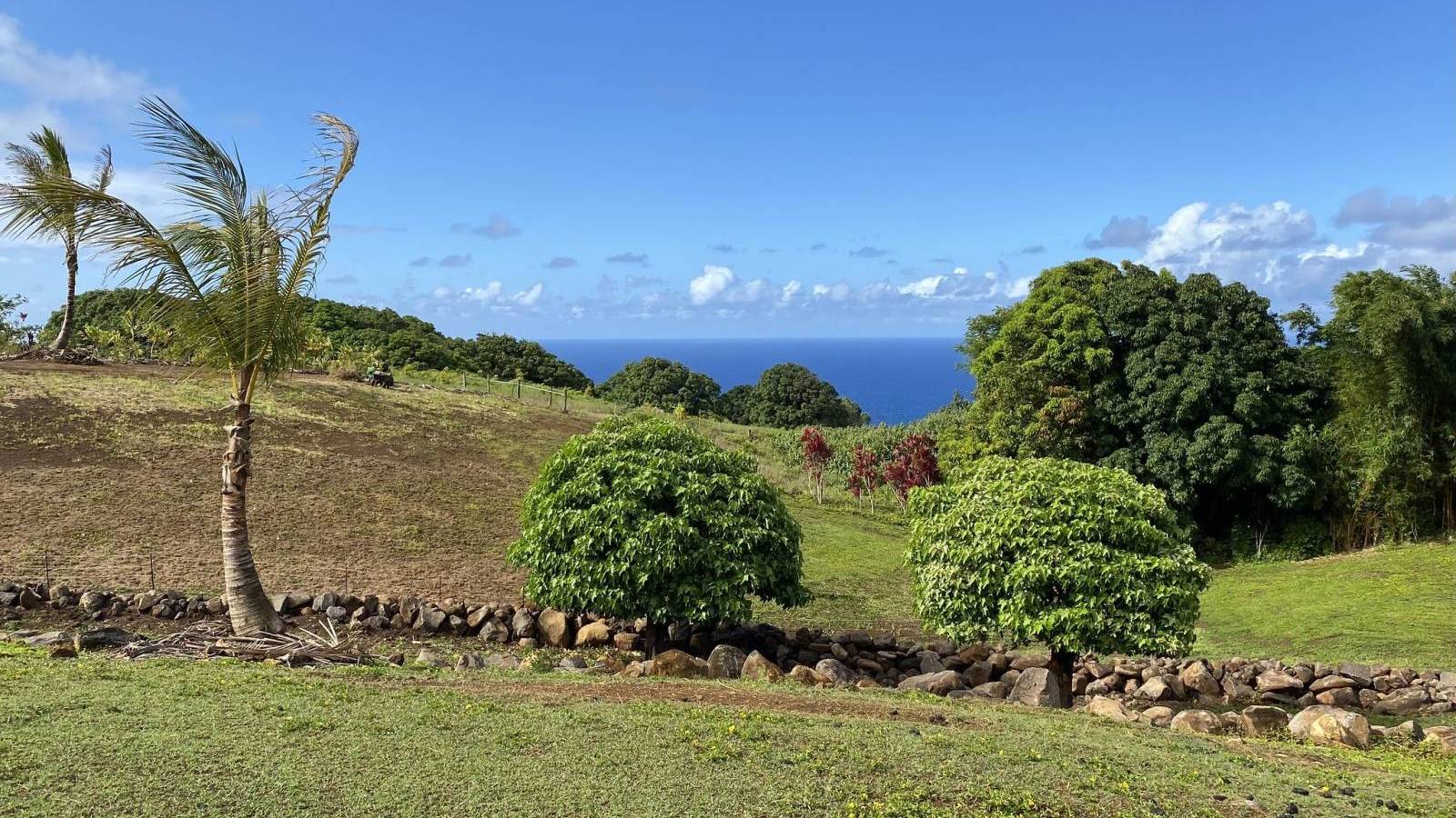 Live Streaming from 320 Hanauana Rd, Haiku Maui HI - Watch the Sunrise ...