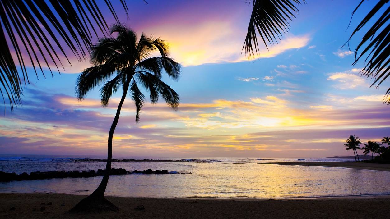 July '22 Market Report - Hawaii Real Estate Market & Trends | Hawaii Life