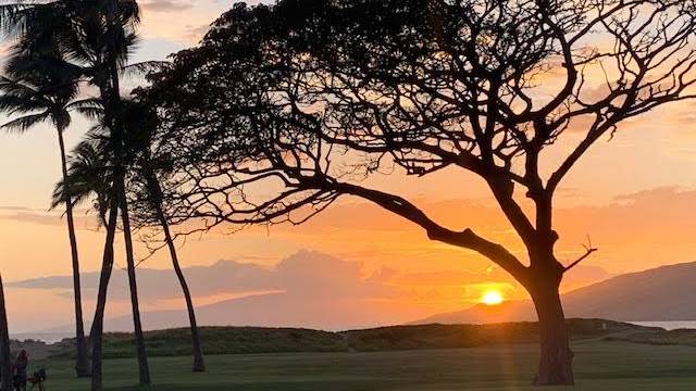 Enjoy Oceanfront Living at Kauhale Makai - Hawaii Real Estate Market ...