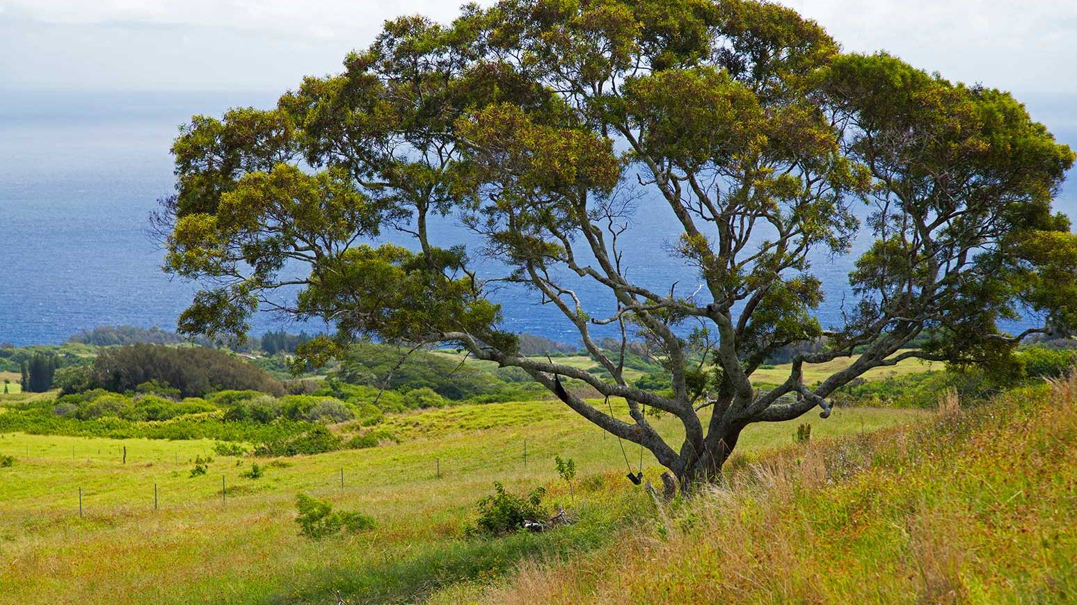 Hawaii County Planning Updates Zoning And Land Use Hawaii Real Hawaii County Planning Updates Zoning And Land Use Hawaii Real