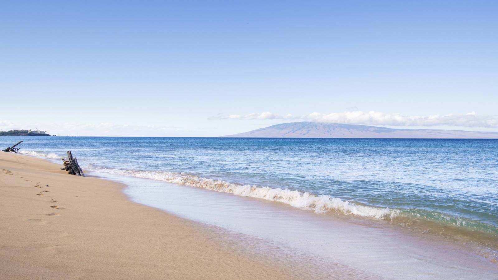How You Can Help With Maui Fire Recovery - Hawaii Real Estate Market ...