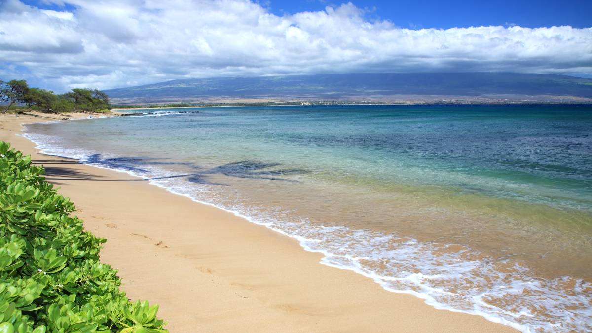 Just Listed Kanai A Nalu: Ocean View, Beachfront Maui Condo - Hawaii ...