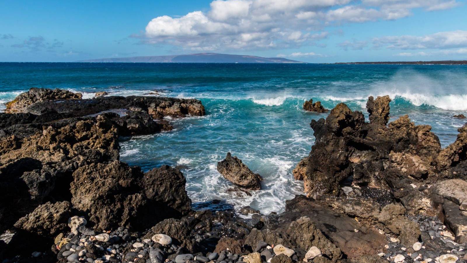 Maui Chinese New Year and January 27 Weekend Happenings - Hawaii Real ...