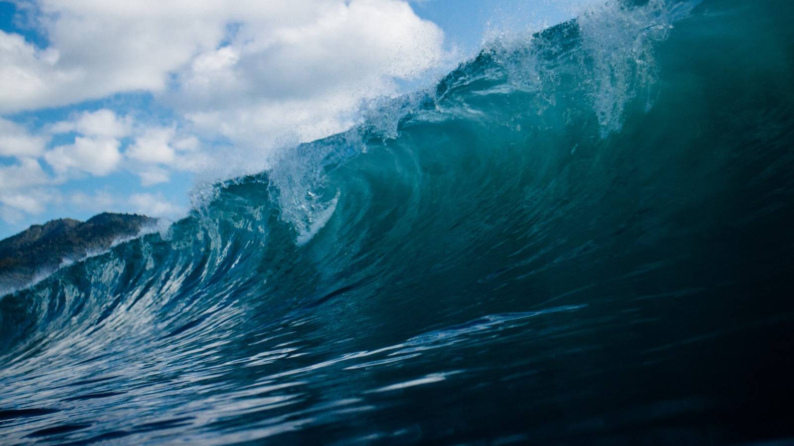 The Eddie - Surfing's Biggest Crown - Hawaii Real Estate Market ...