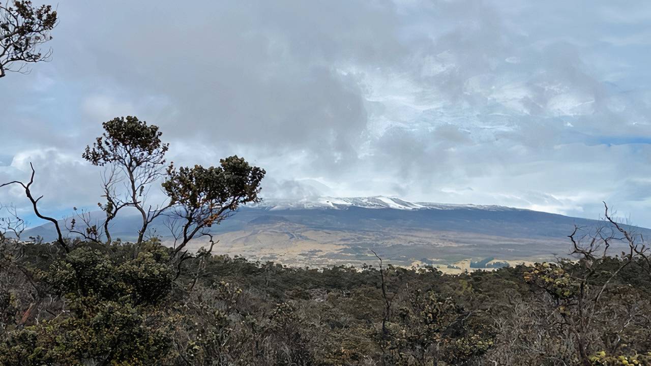 Hiking Hawaii - Kaulana Manu Nature Trail - Hawaii Real Estate Market ...