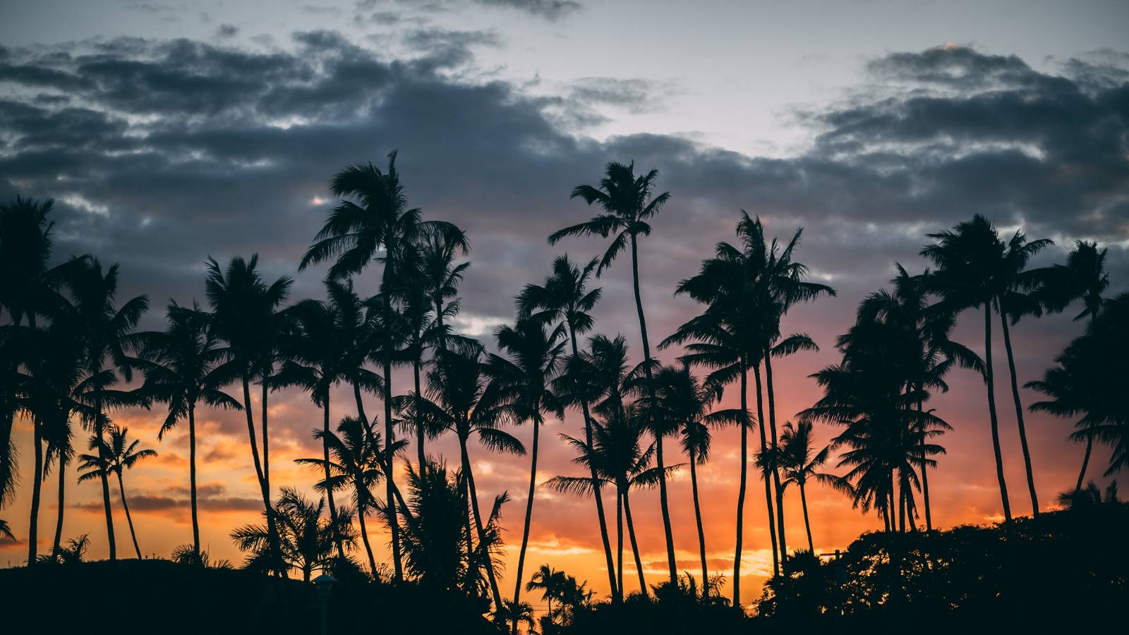 Opportunities in Every Market - Hawaii Real Estate Market & Trends ...