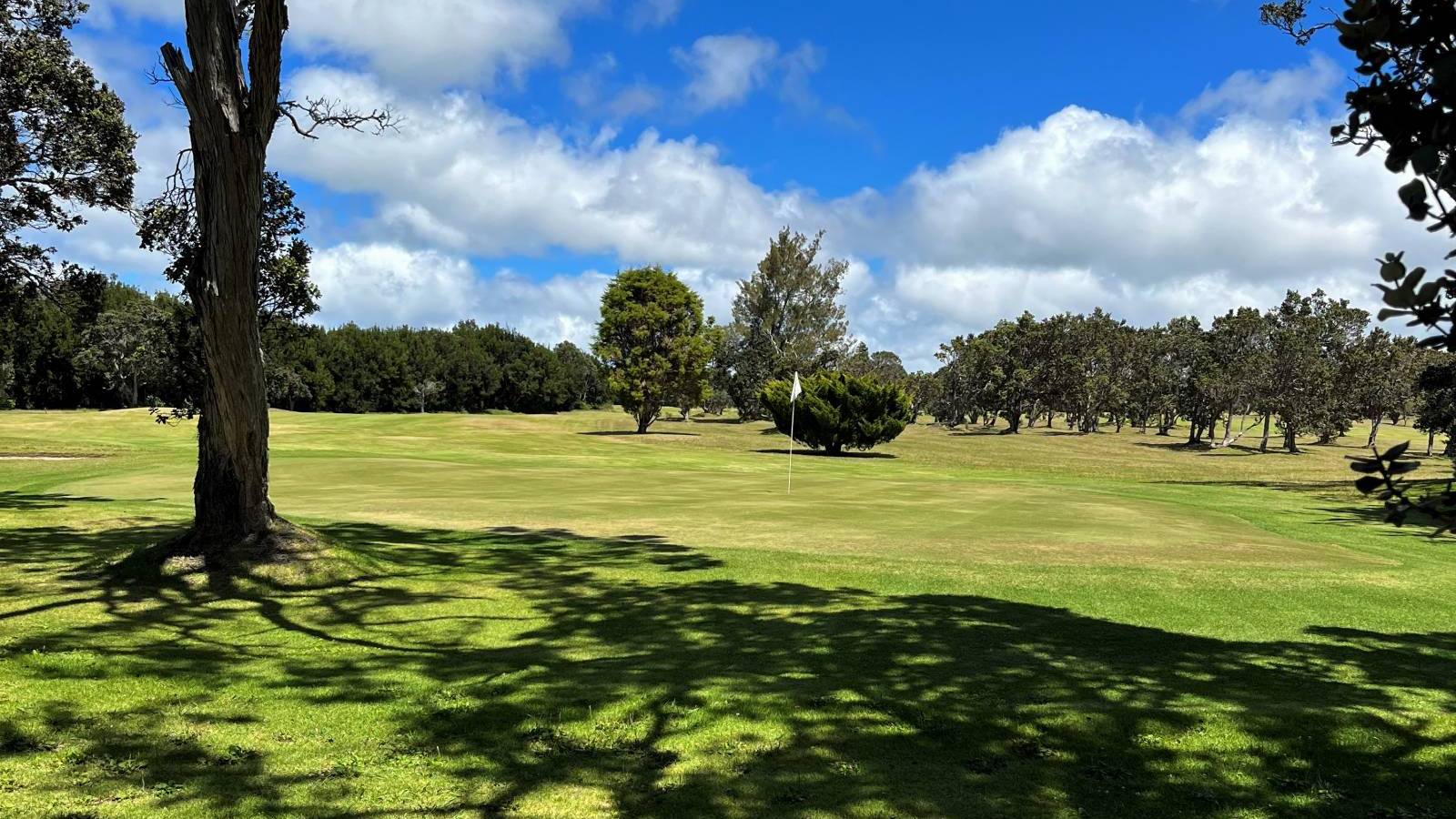 Volcano Golf and Country Club - Hawaii Real Estate Market & Trends ...