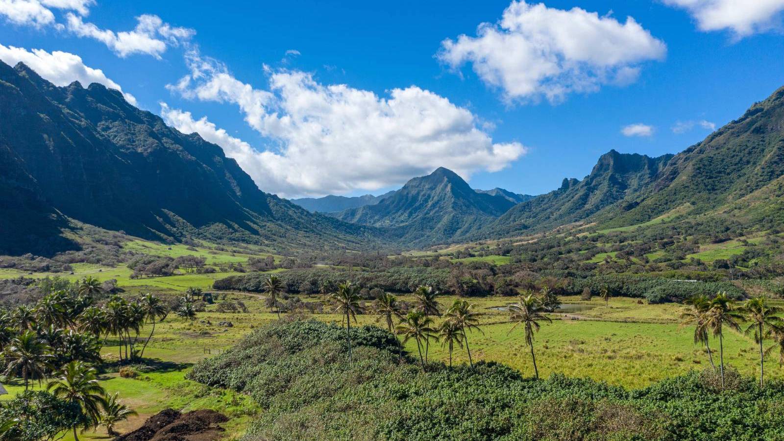 Watershed Land on Oahu - Hawaii Real Estate Market & Trends | Hawaii Life