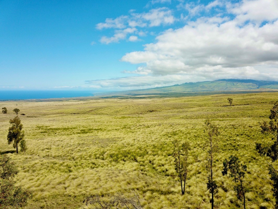 Magnificent 668 Acre Parcel of Rolling Pasture Land - Hawaii Real ...
