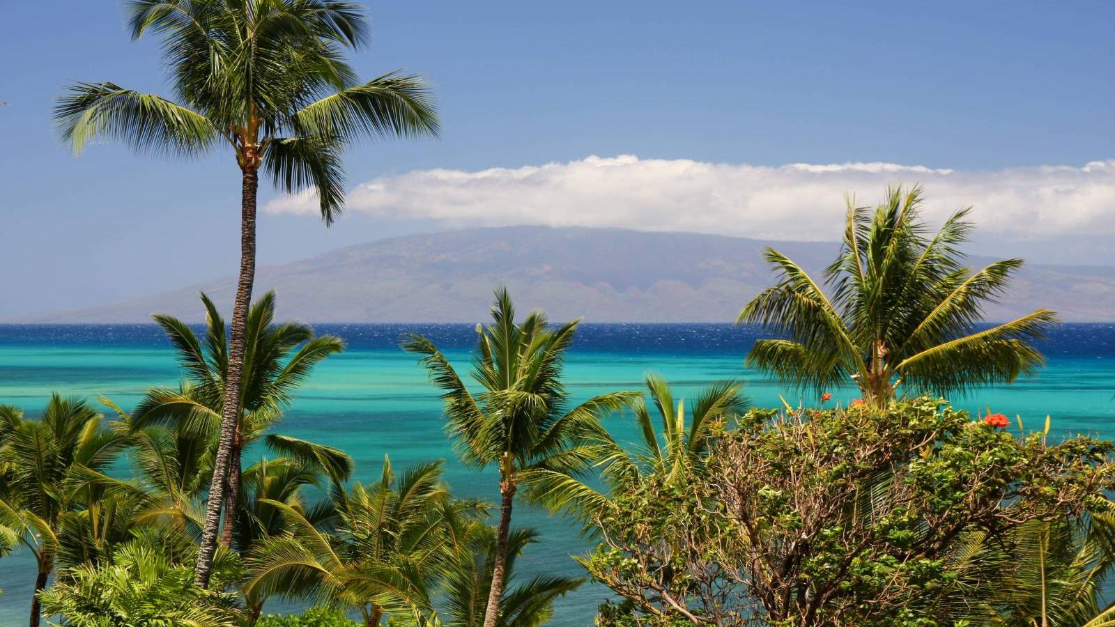 What Is HARPTA? How Much in Taxes Do You Have To Pay at Closing ...