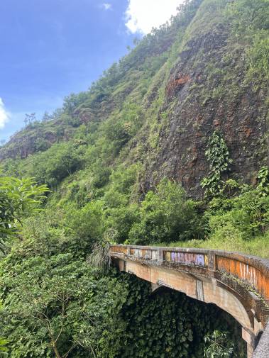 Hidden Hike Above the Pali Highway With Spectacular Views - Hawaii Real ...