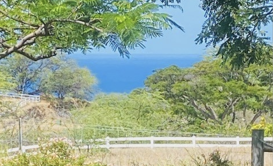 Beautiful Hale Hoku Hele in Kamuela - Hawaii Real Estate Market ...