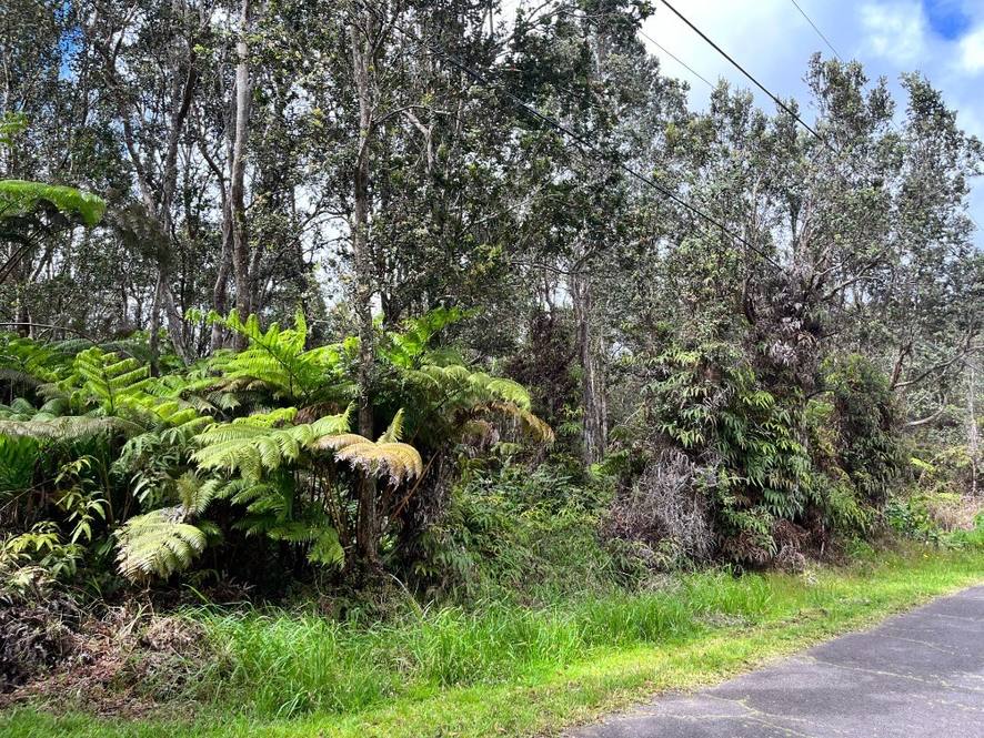 Two Beautiful Lots in Royal Hawaiian Estates - Hawaii Real Estate ...