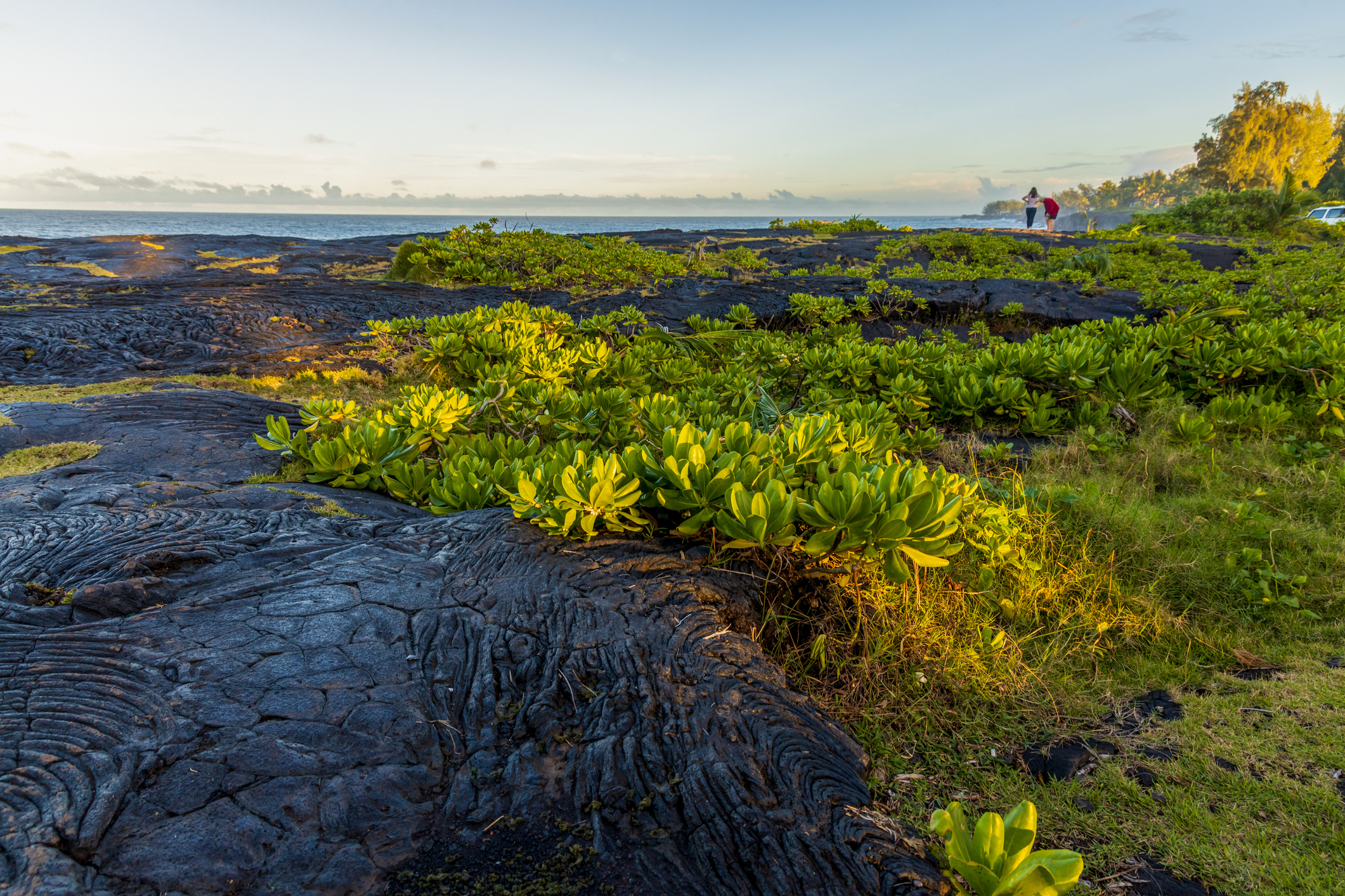 Lava Zones, Neighborhoods and Homeowners Insurance - Hawaii Real Estate ...