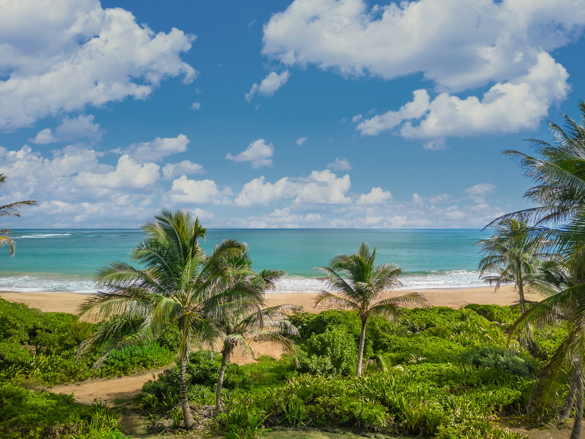 Investment Potential and Endless Opportunities for this Licensed ...