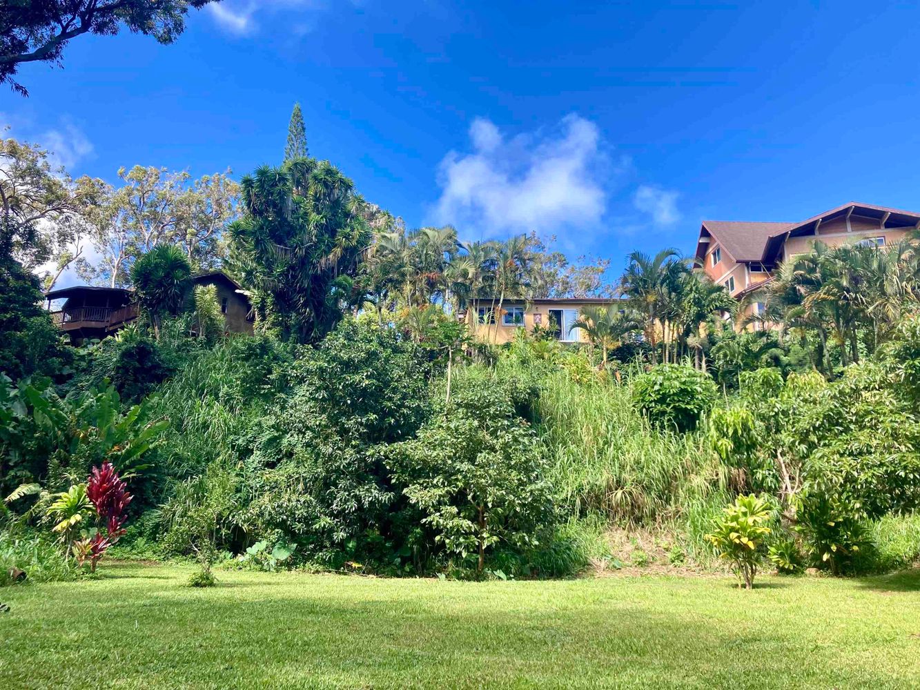 Beautiful Setting, Plus Income Potential With 2 Homes in Haiku, Maui ...