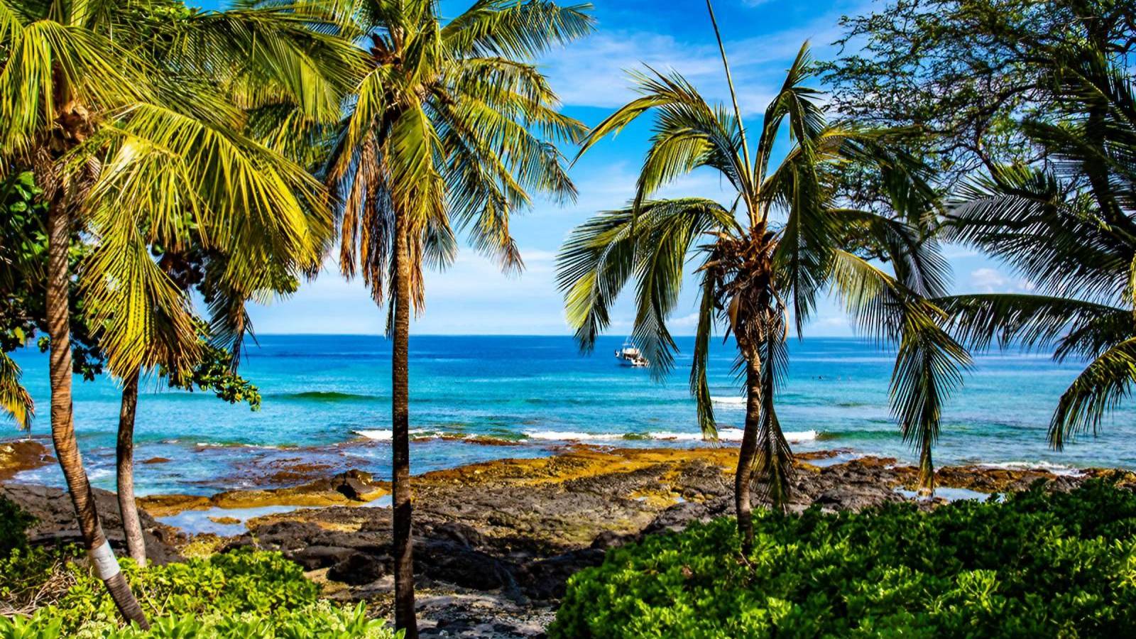 Discover Paradise: A Gem on the Kohala Coast - 48 Puako - Hawaii Real ...