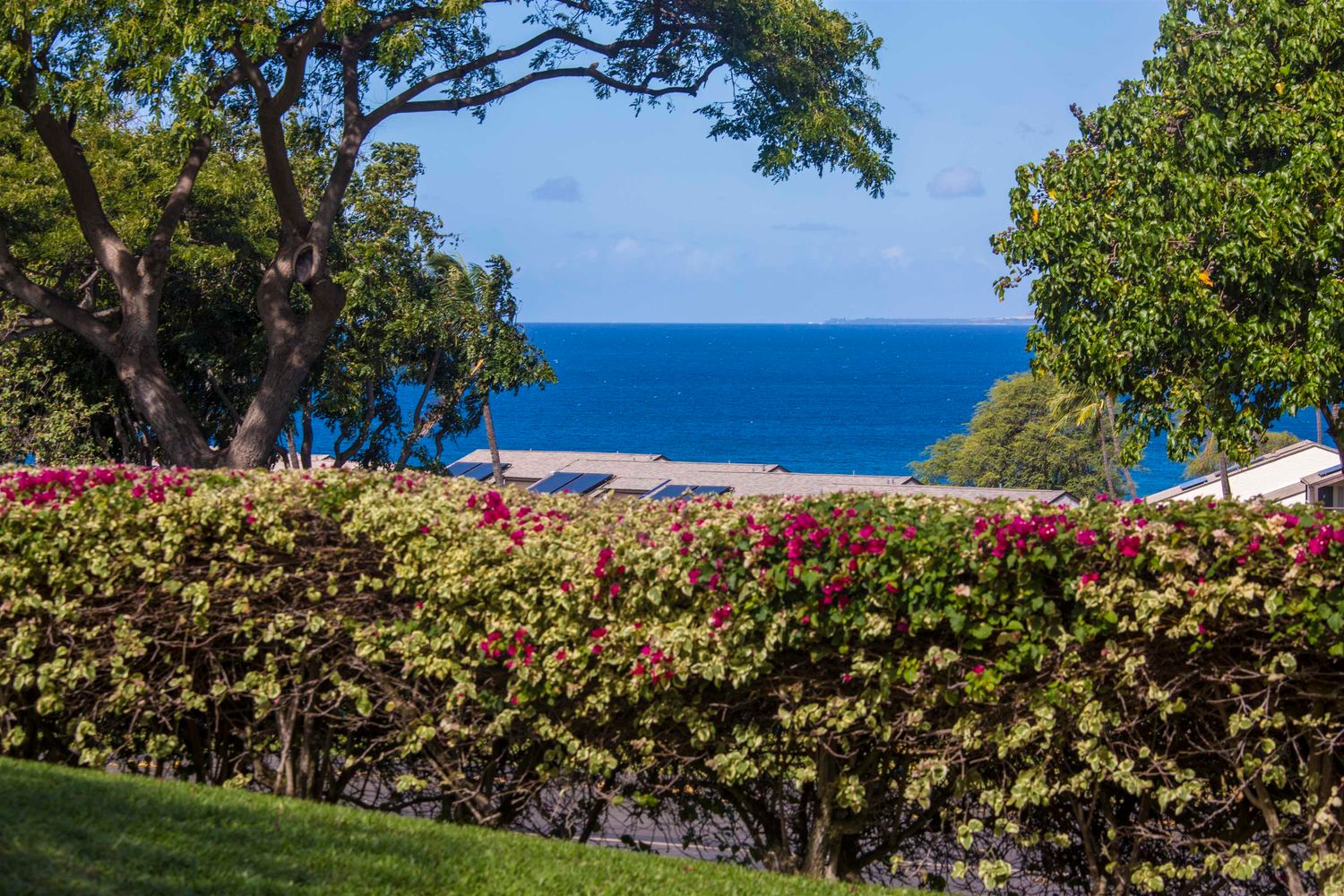 Maui Kamaole Ground-Floor Condo with a View - Hawaii Real Estate Market ...