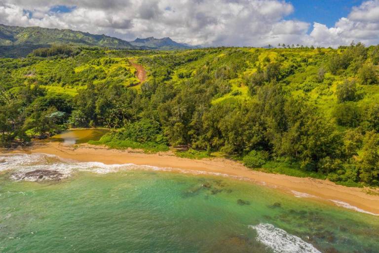 A Gem in Moloa’a Ag Country in Kilauea - Hawaii Real Estate Market ...
