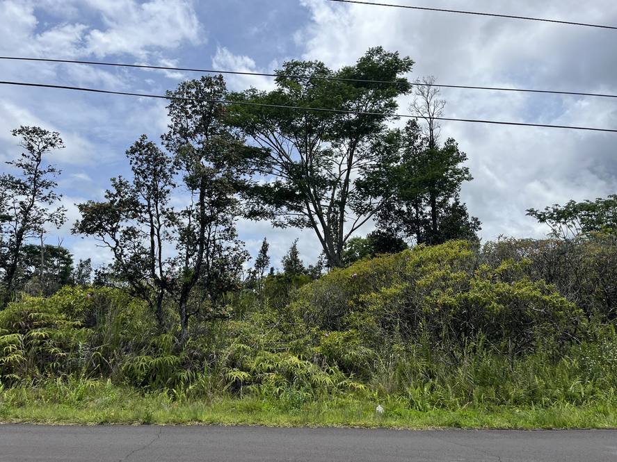 1 Acre Lot in Hawaiian Paradise Park - Hawaii Real Estate Market ...