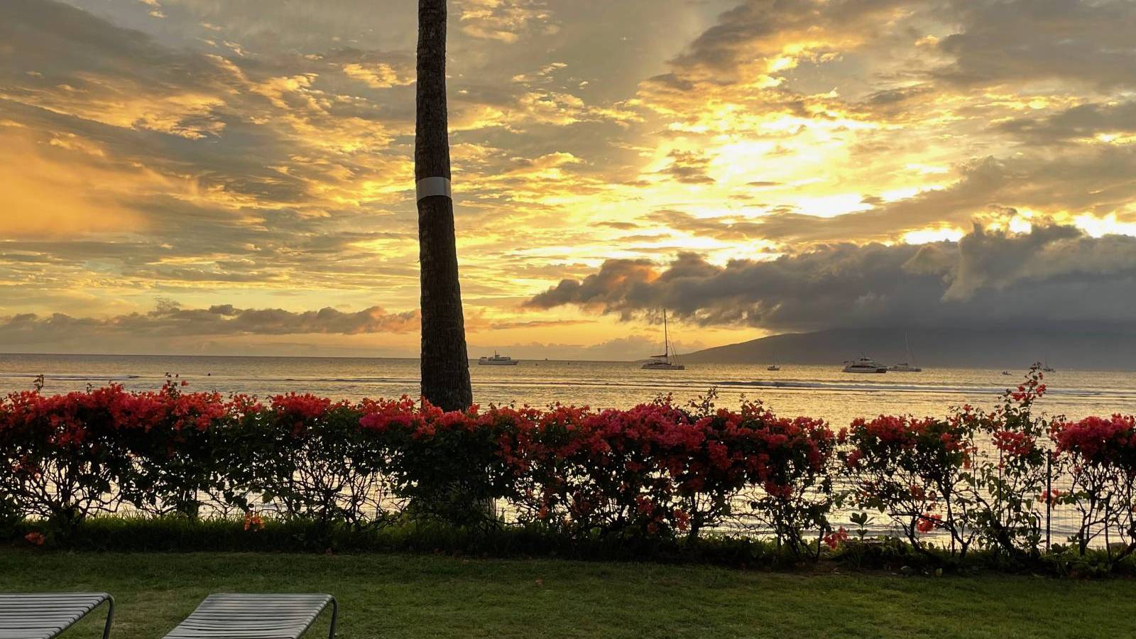 Hawaiʻi State Vacation Rental Bill - Big Island Impacts? - Hawaii Real ...