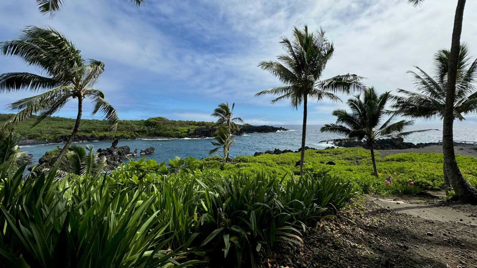 Hawaii Real Estate: Self-Reliance, Sustainability, and Energy ...