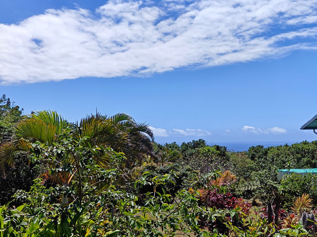 This Oversized Corner Lot Features an Expansive South Coast View ...