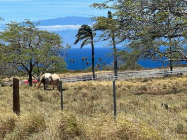Two New Listings at Puakea Bay Ranch - Hawaii Real Estate Market ...