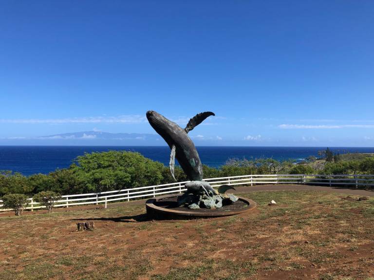 Two New Listings at Puakea Bay Ranch - Hawaii Real Estate Market ...