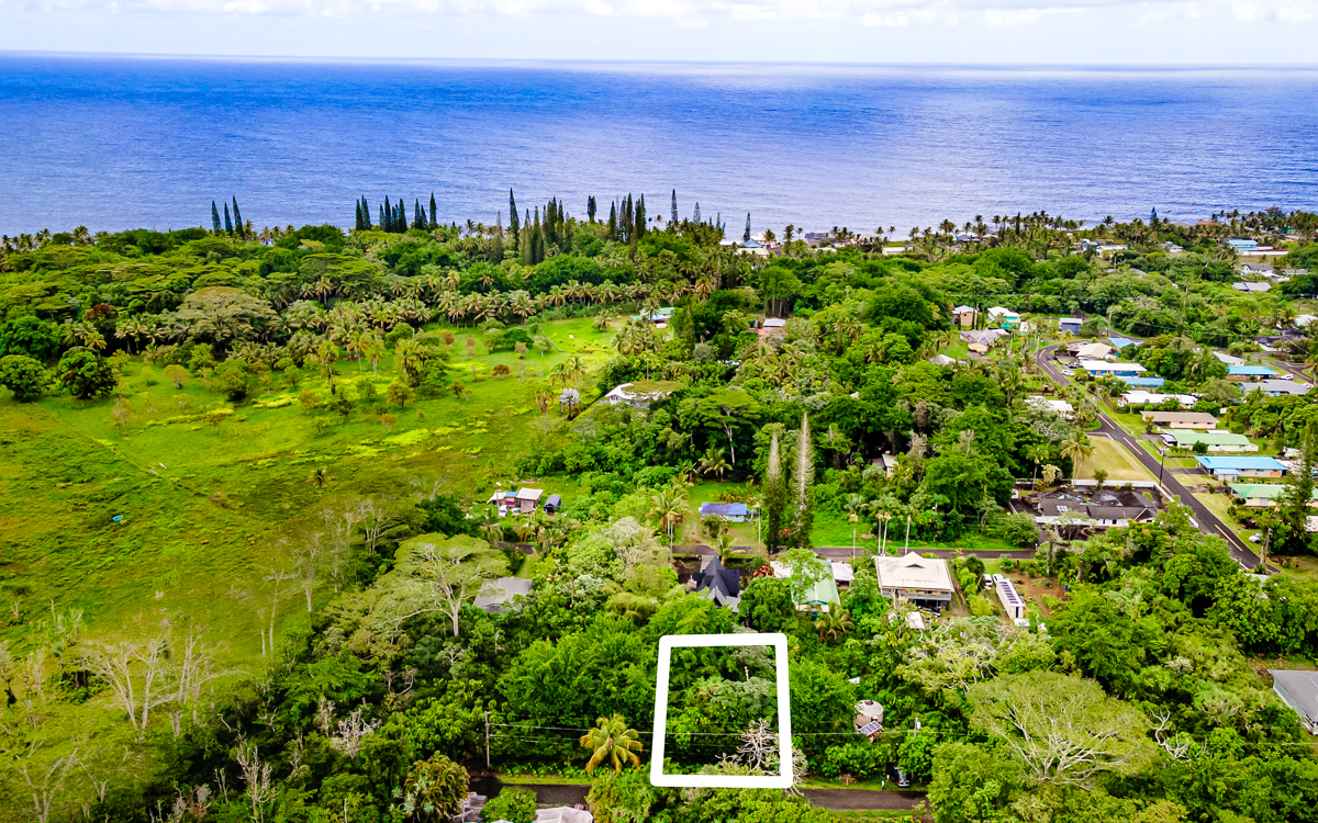 Affordable Lot With All Utilities in Pahoa - Hawaii Real Estate Market ...